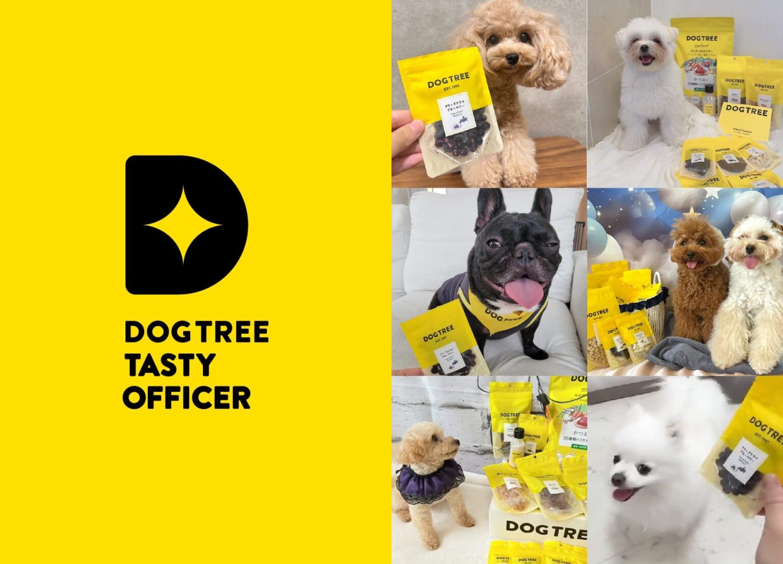 特集 | 【国産・無添加】犬のおやつならDOGTREE（ドッグツリー）